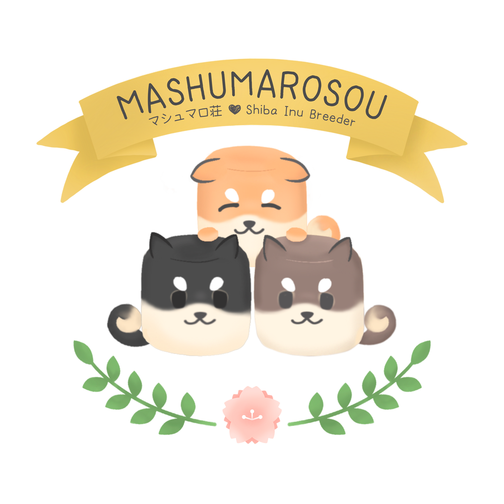 Mashumarosou マシュマロ