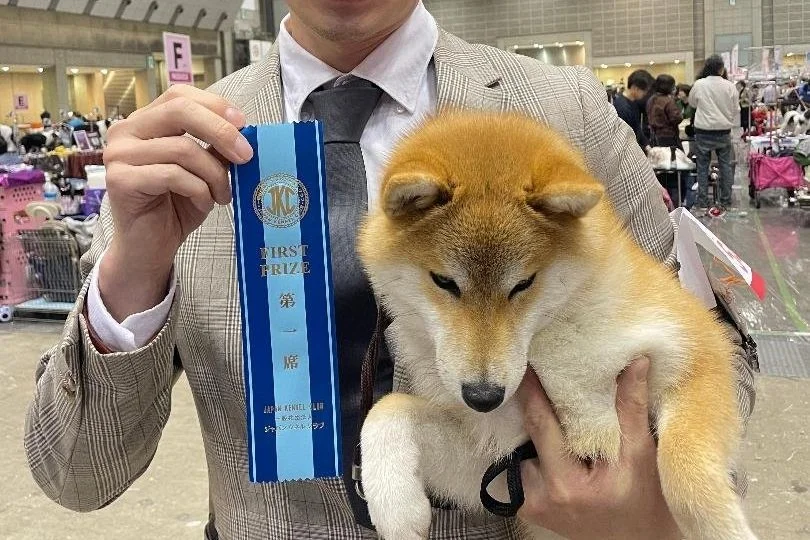 Intro — Mashumarosou マシュマロ