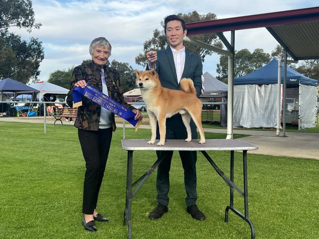 Our boys — Mashumarosou マシュマロ