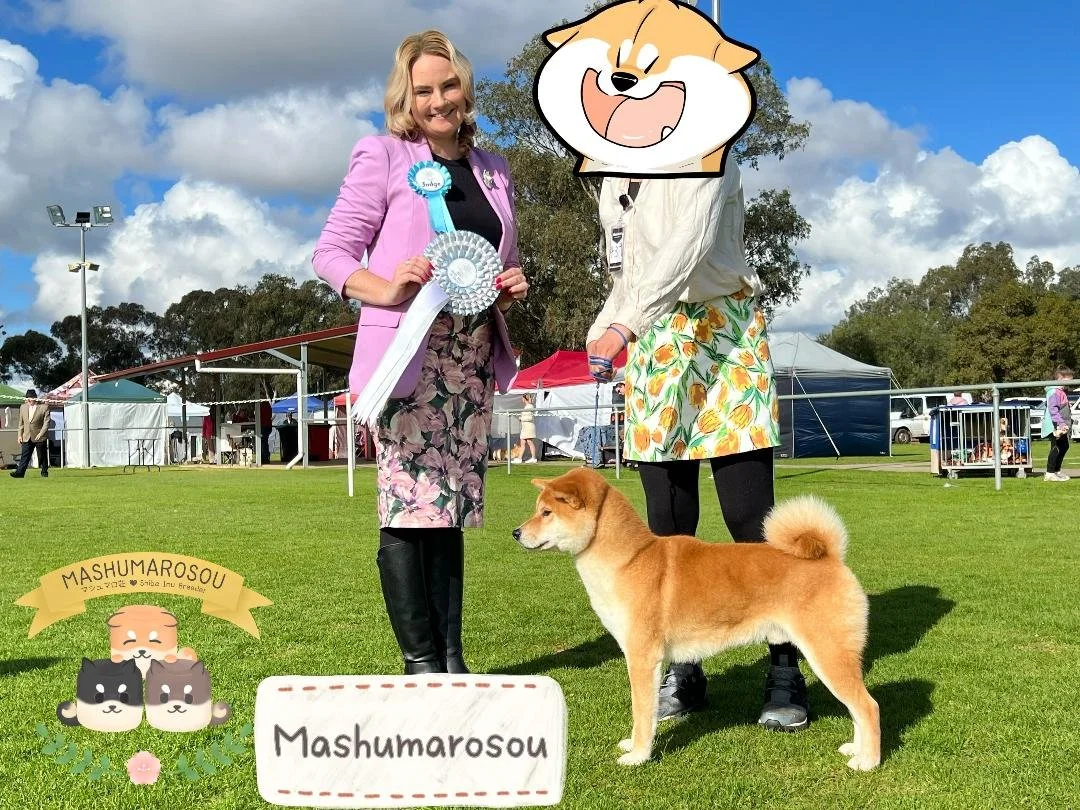 Our boys — Mashumarosou マシュマロ