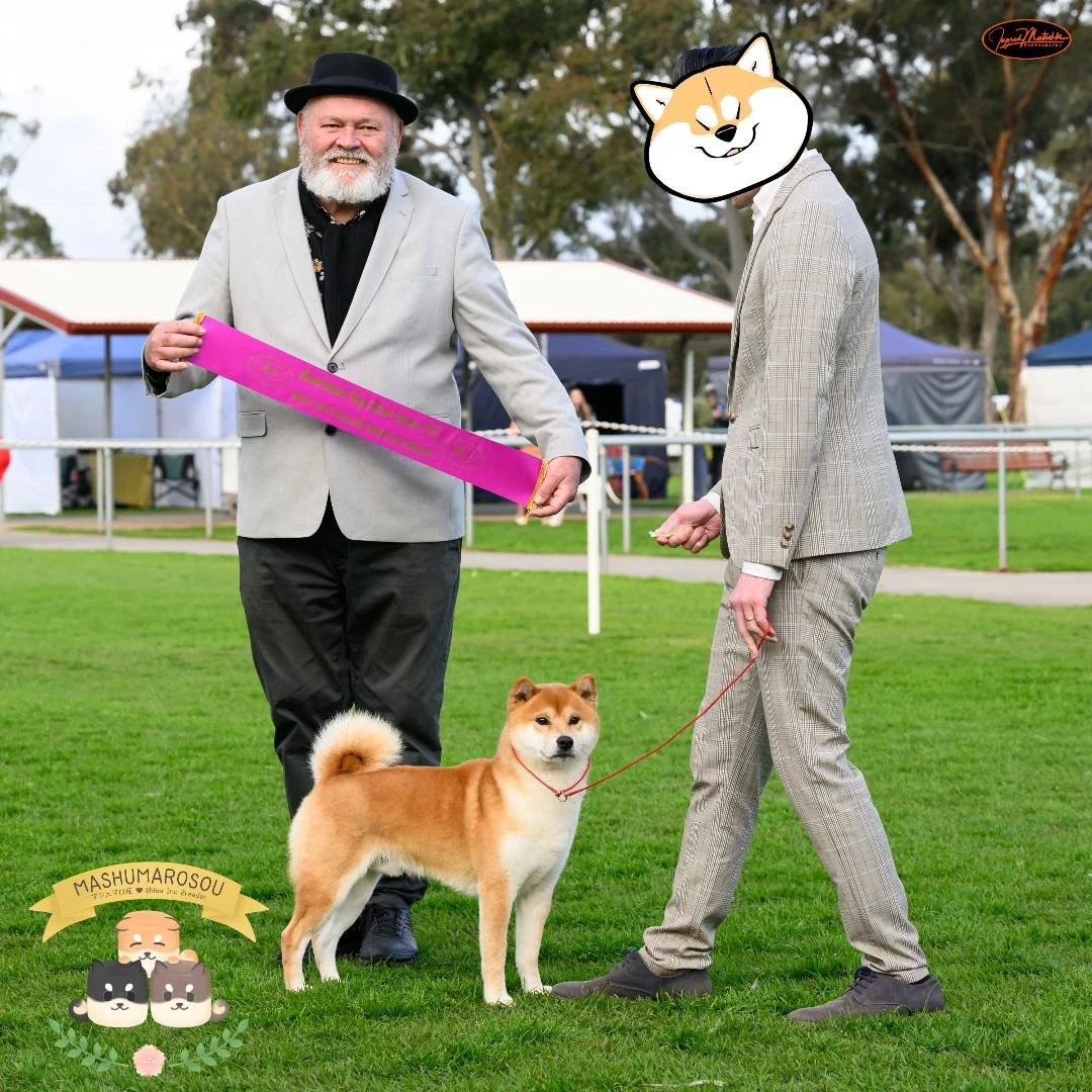 Our boys — Mashumarosou マシュマロ