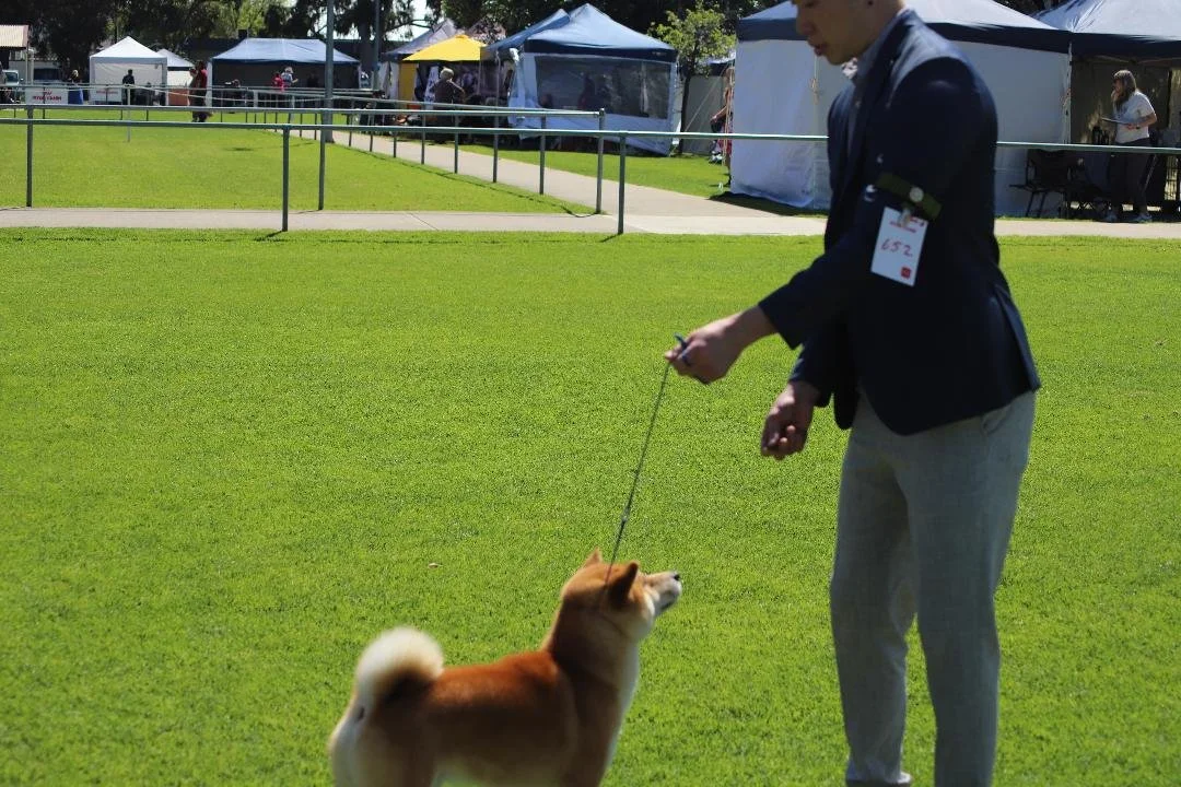 Our boys — Mashumarosou マシュマロ