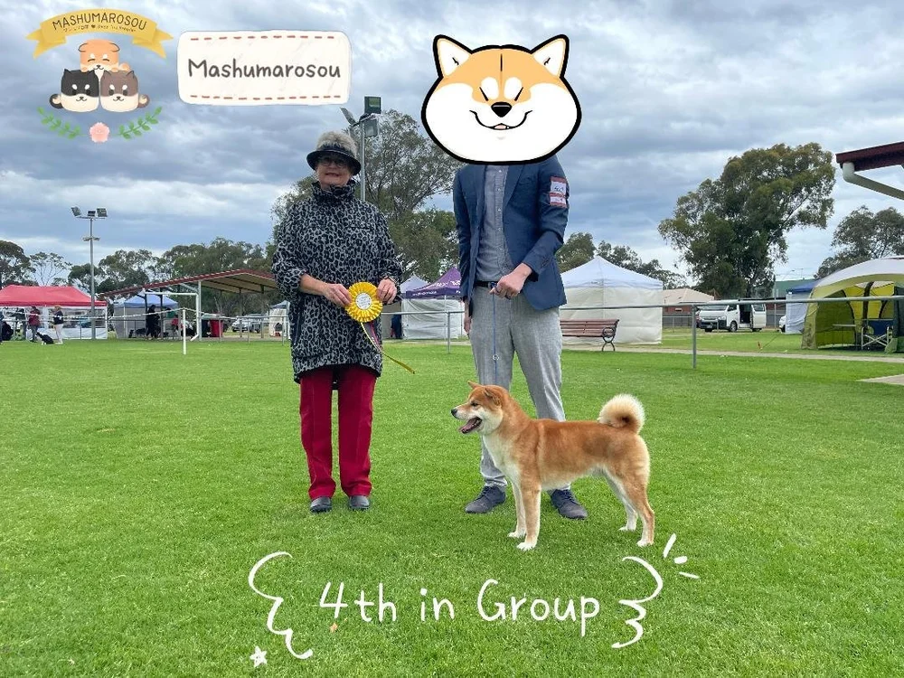 Our boys — Mashumarosou マシュマロ