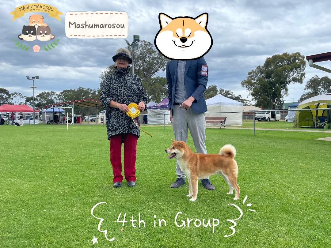 Our boys — Mashumarosou マシュマロ