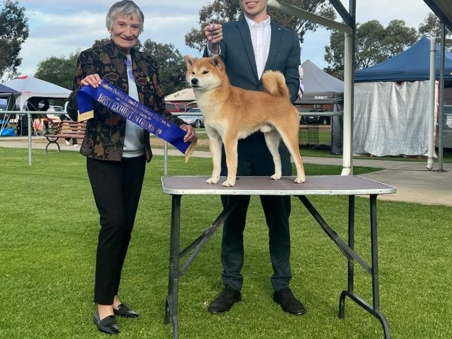 Our boys — Mashumarosou マシュマロ