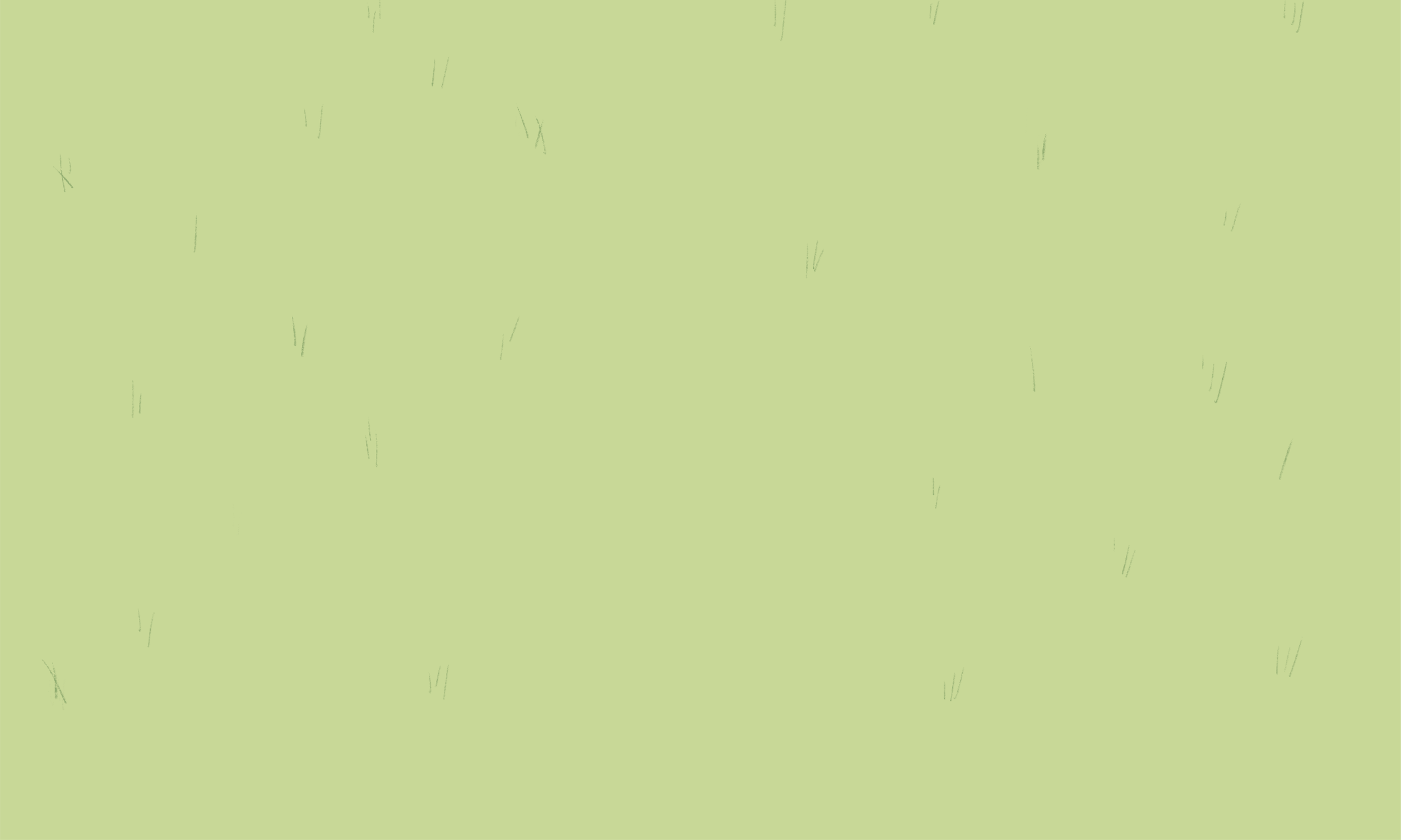 About — Patom Organic Living