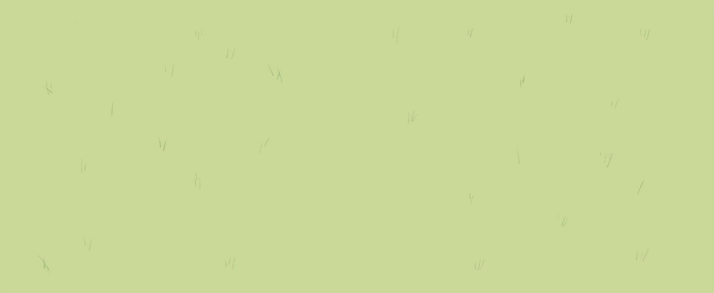 Our Instructors — Patom Organic Living