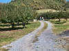 Activities — Gross Orchard