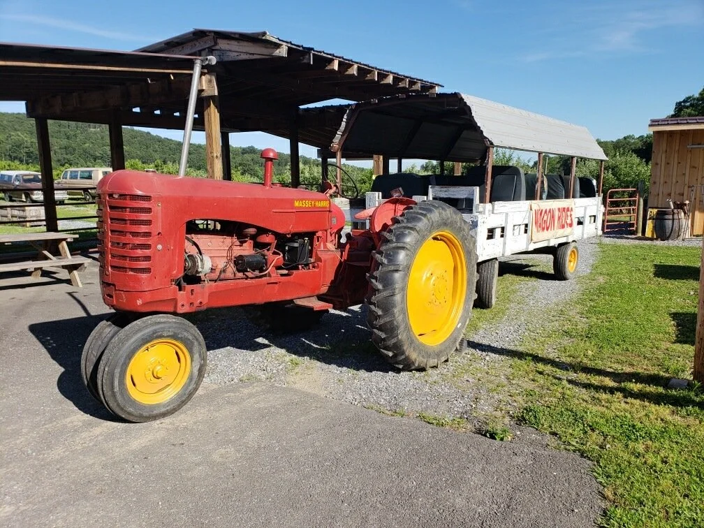 About Us — Gross Orchard