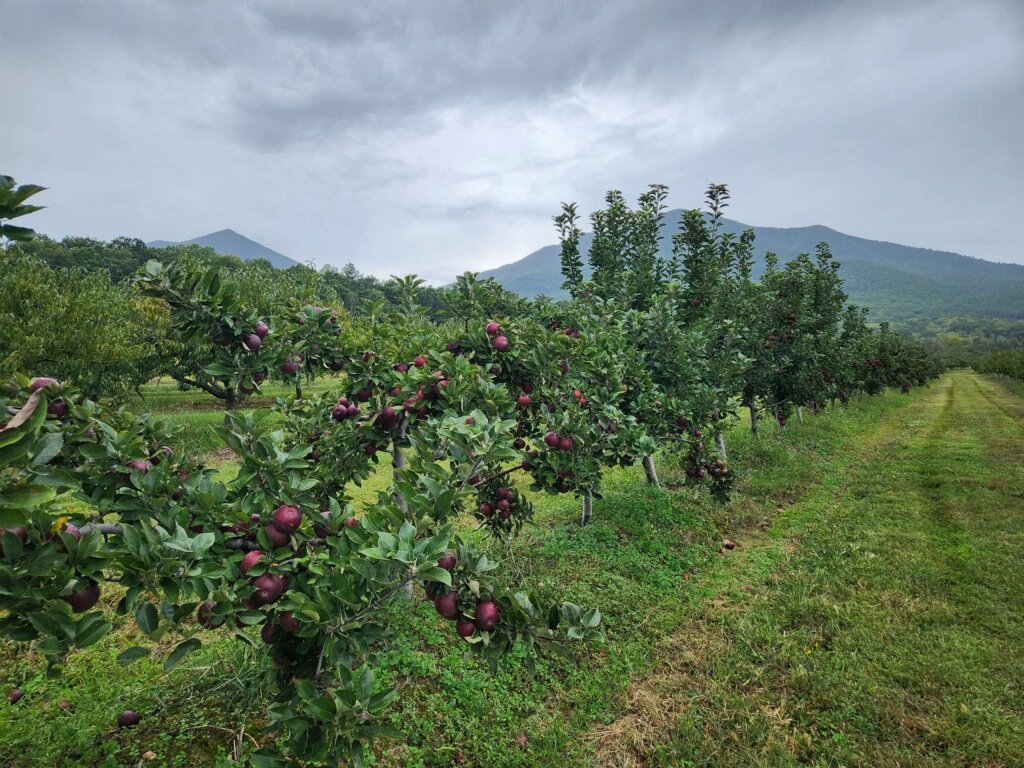 About Us — Gross Orchard