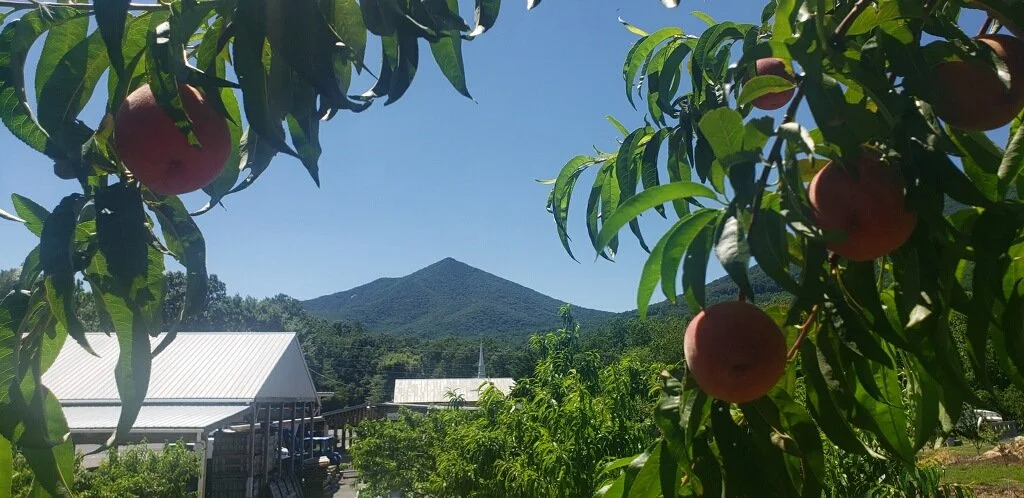 About Us — Gross Orchard