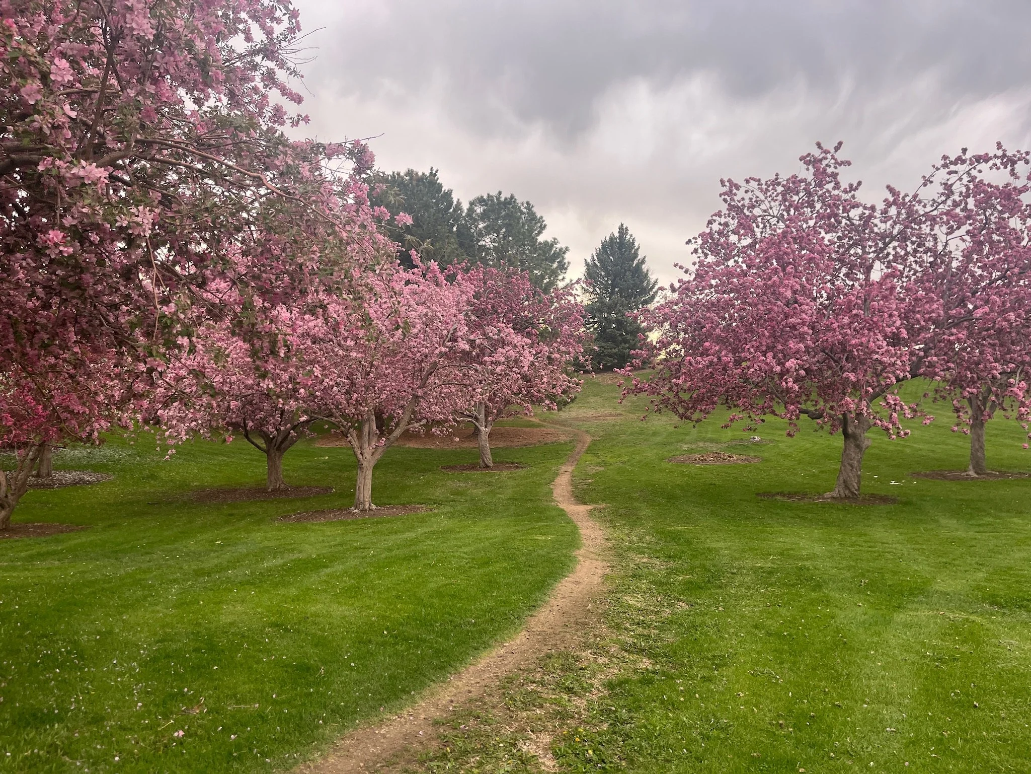 About — Ruby Hill Neighbors