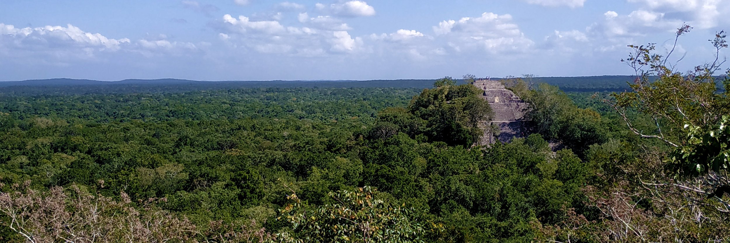 Renewable ammonia from mexico » Press Releases | HY2GEN