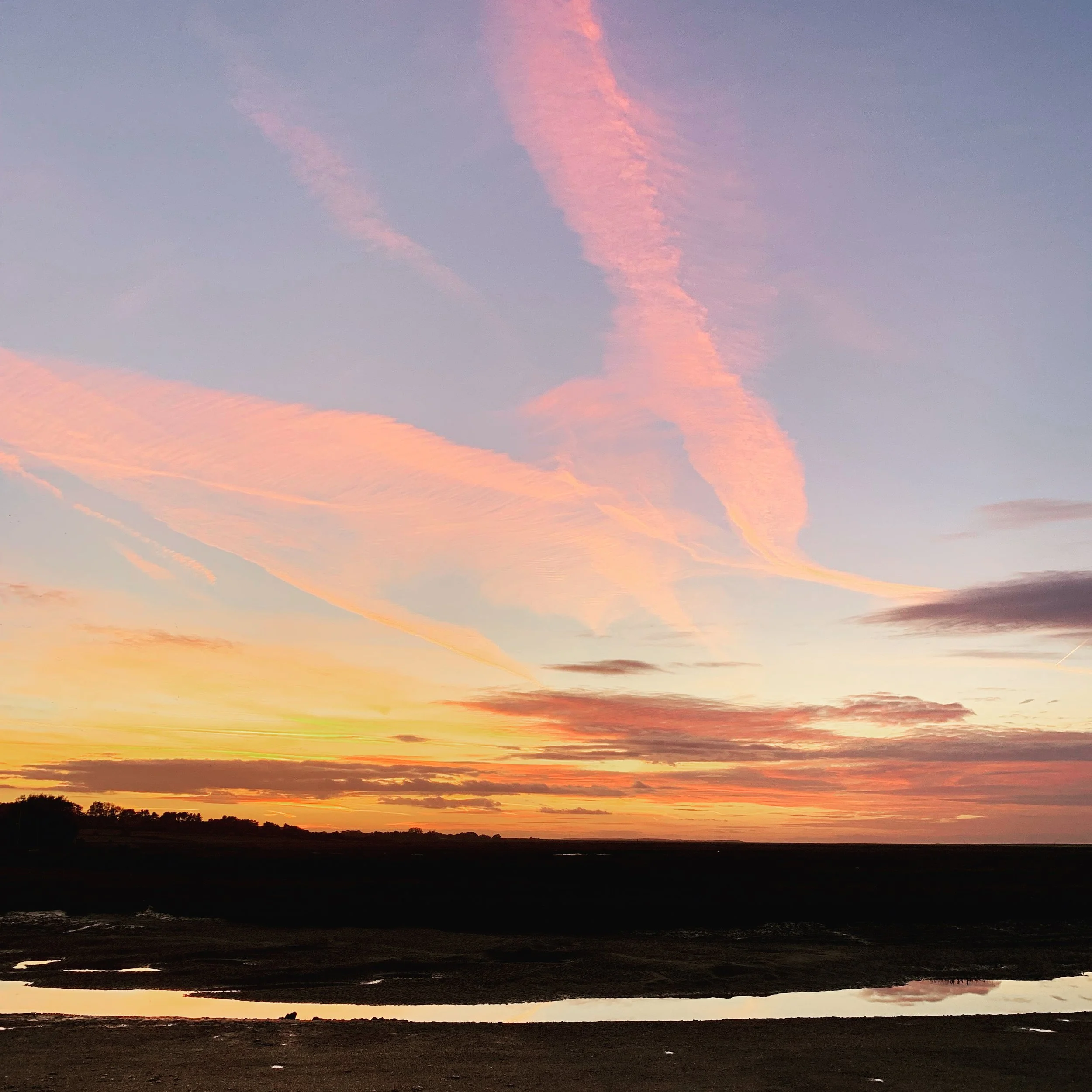 About Poppy — The North Norfolk Wheelyboat 'Poppy'