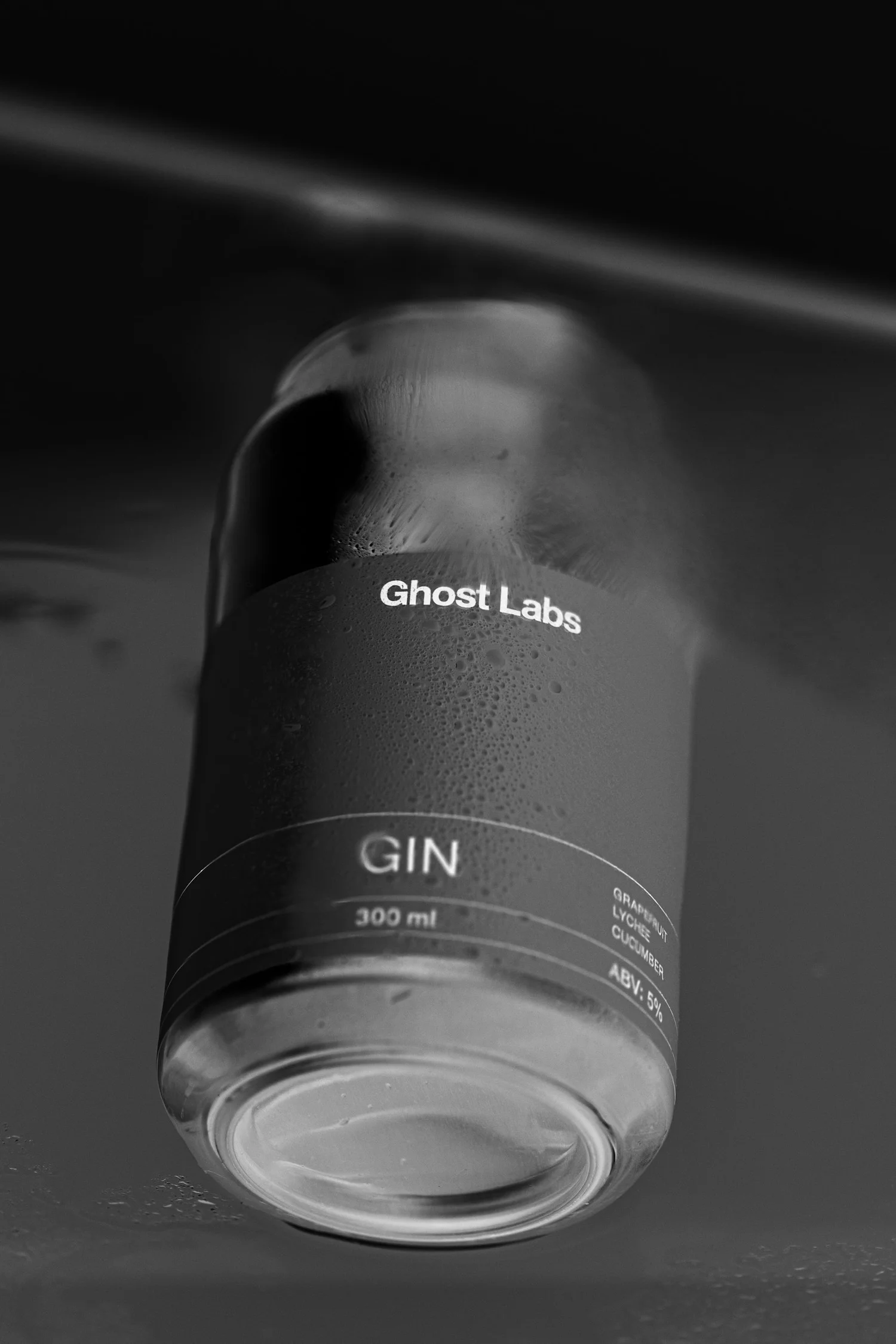 Ghost Labs — handover