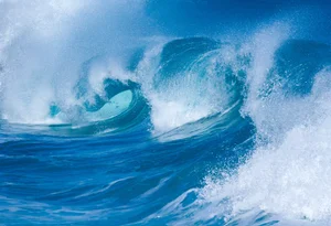 Zack Howard Surf | Maui Private Surf Lessons