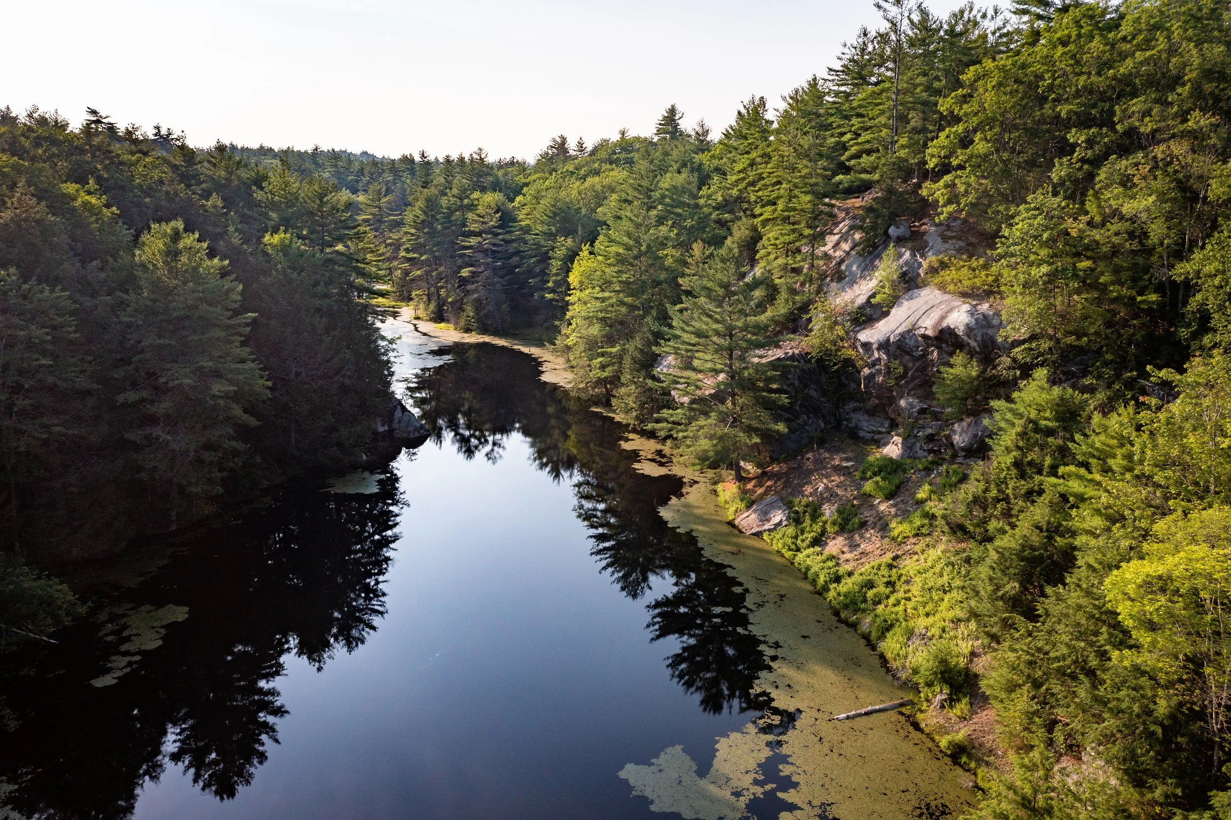 Looking for Bearpaw? | Bear-Paw Regional Greenways | NH Land ...