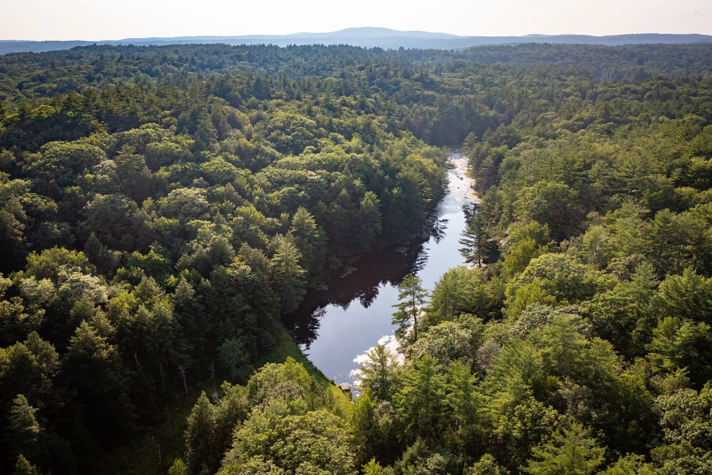 Bear Paw | Protect Natural Lands – Join Us