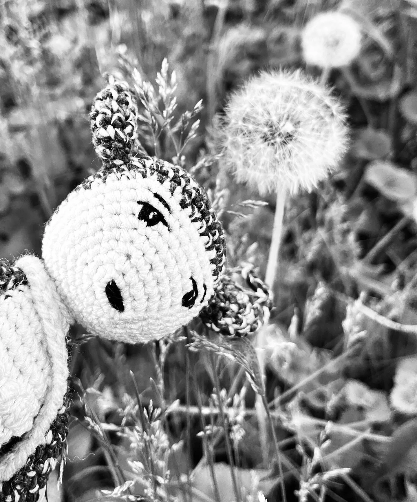 Toutous éco-resposables fait à la main par Lutin de Forêt au Quebec.