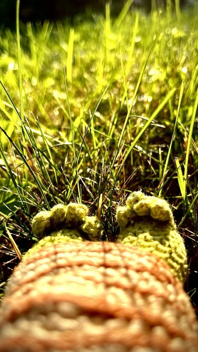 Toutous éco responsables, engagés par Lutin de Forêt