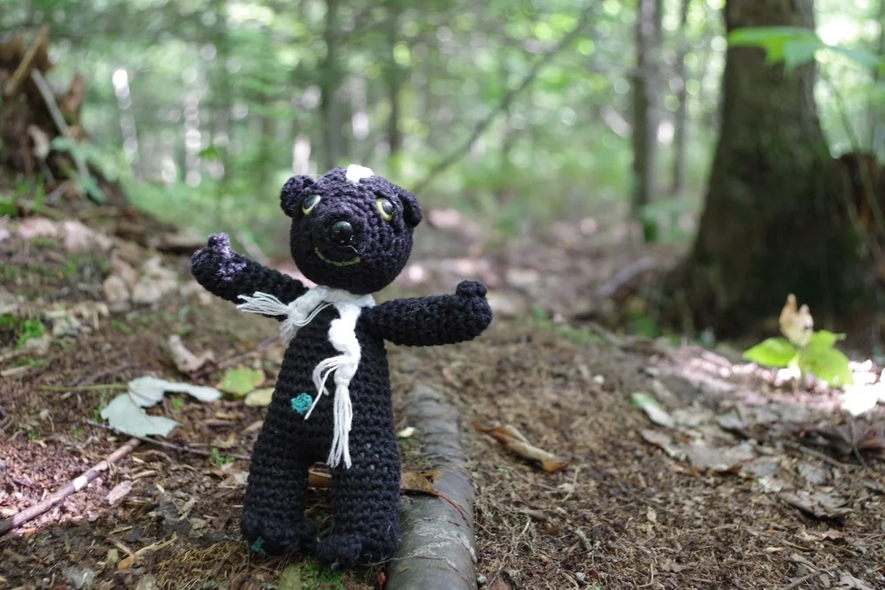 Toutous éco responsables, engagés par Lutin de Forêt