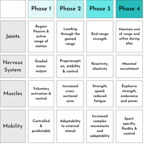 Rehabilitation Phases & Progression — Monageer Physiotherapy Clinic ...