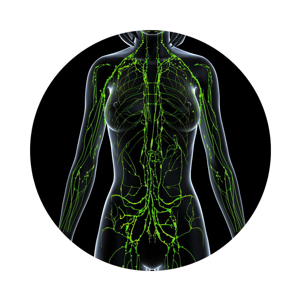 Manual Lymphatic Drainage — Julie Ervin LMT