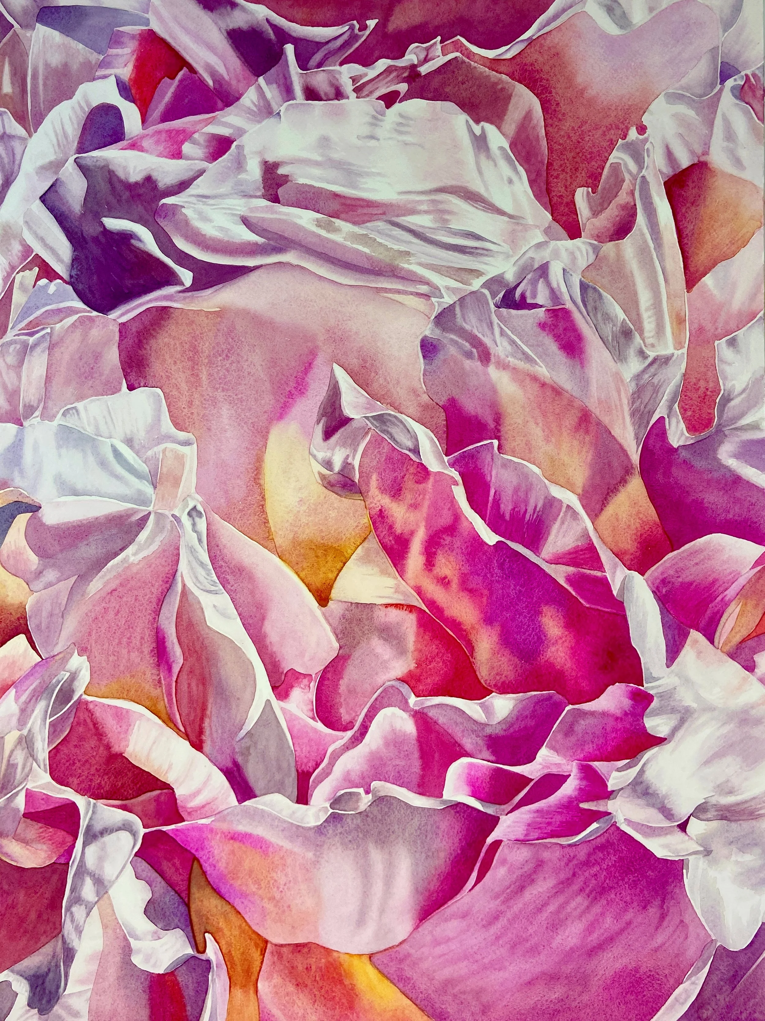 Portfolio — Emily Wingate Art