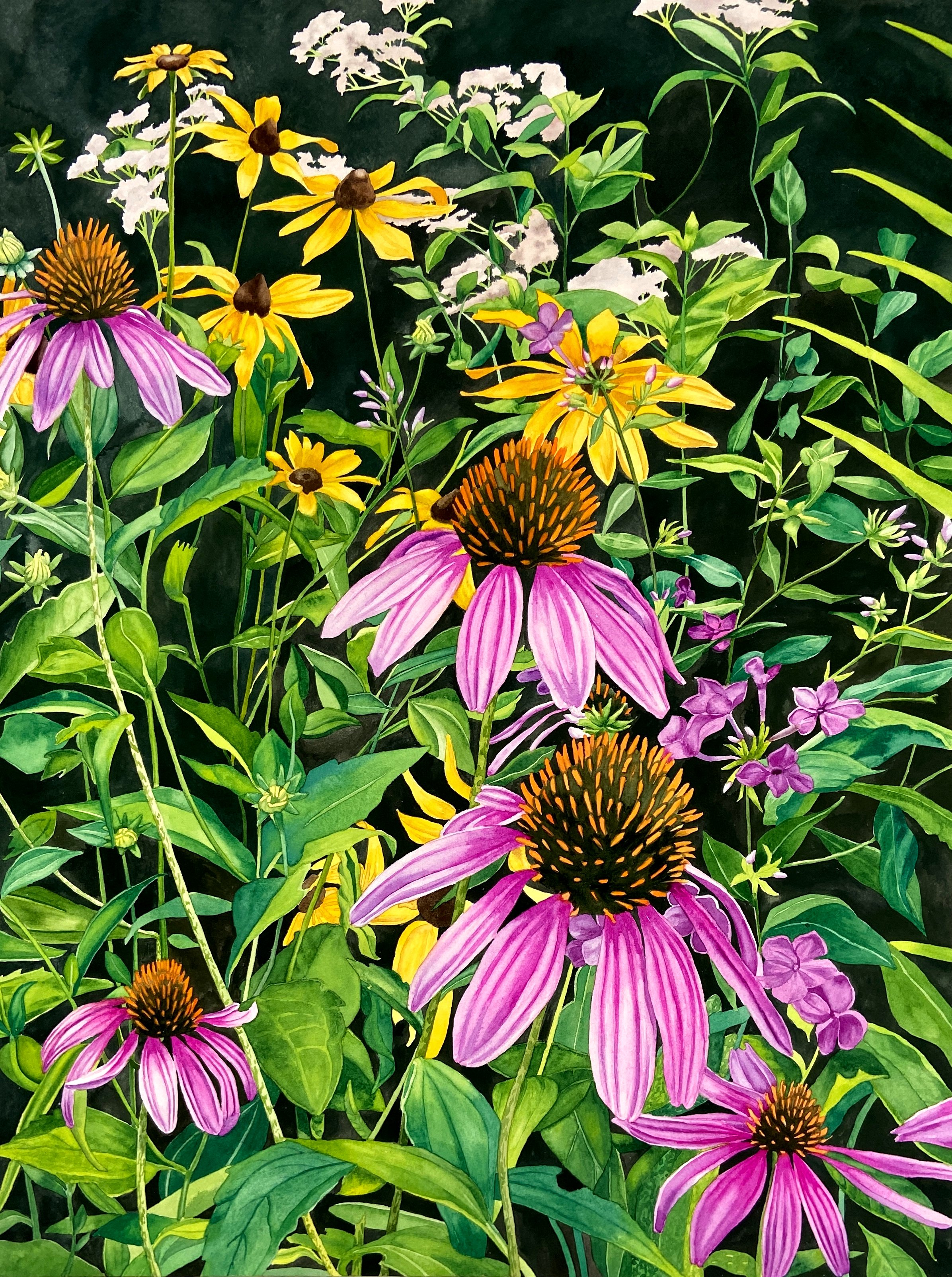 Portfolio — Emily Wingate Art