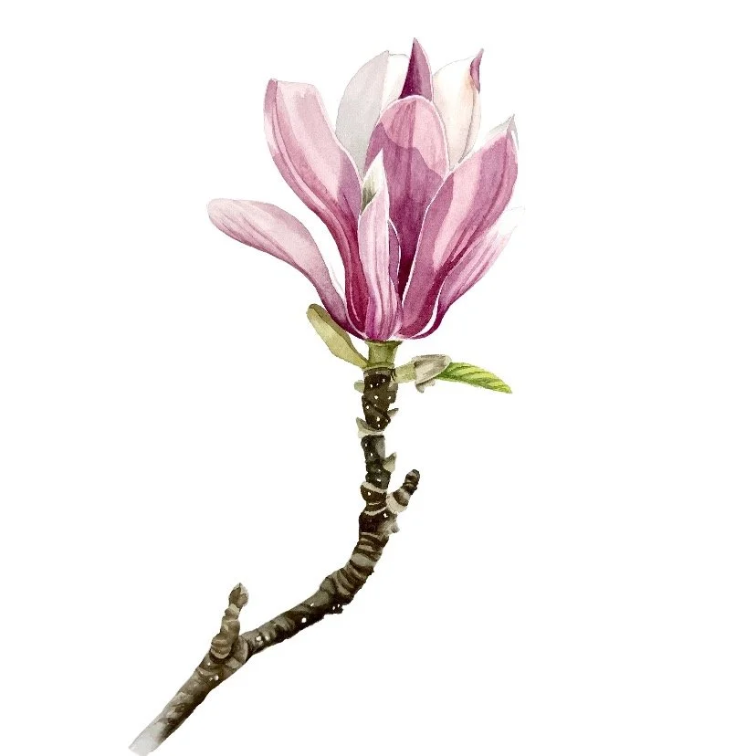 Bloom Where You're Planted II — Emily Wingate Art