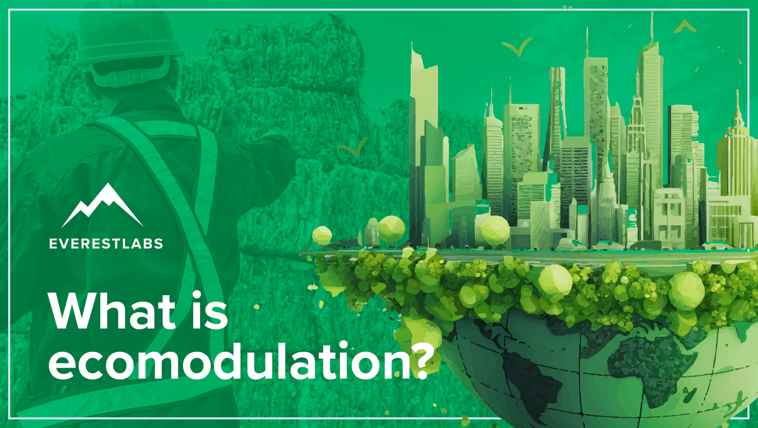 Ecomodulation Explained: How It Promotes Eco-Friendly Packaging Design ...