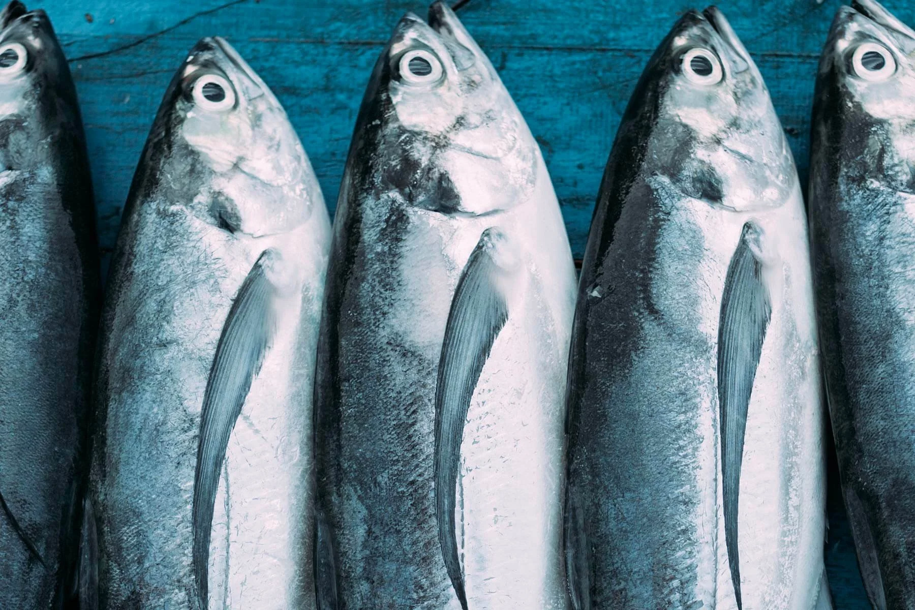 Star Fish Market | Offering Fresh Fish, Shellfish, Prepared Foods