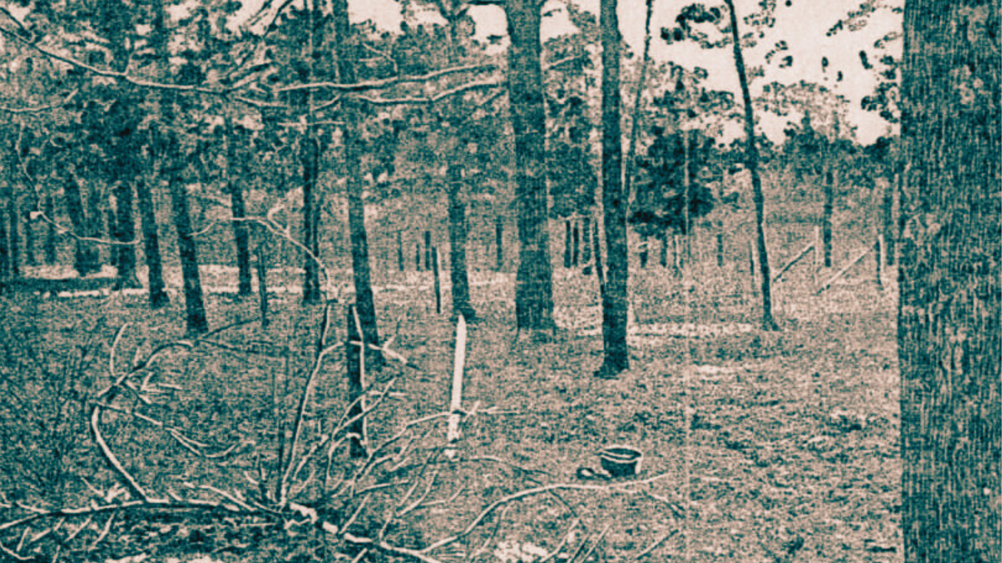 THE BEACH PEOPLE: The Lost Graveyard of the Lady Elgin Dead | Ursula ...