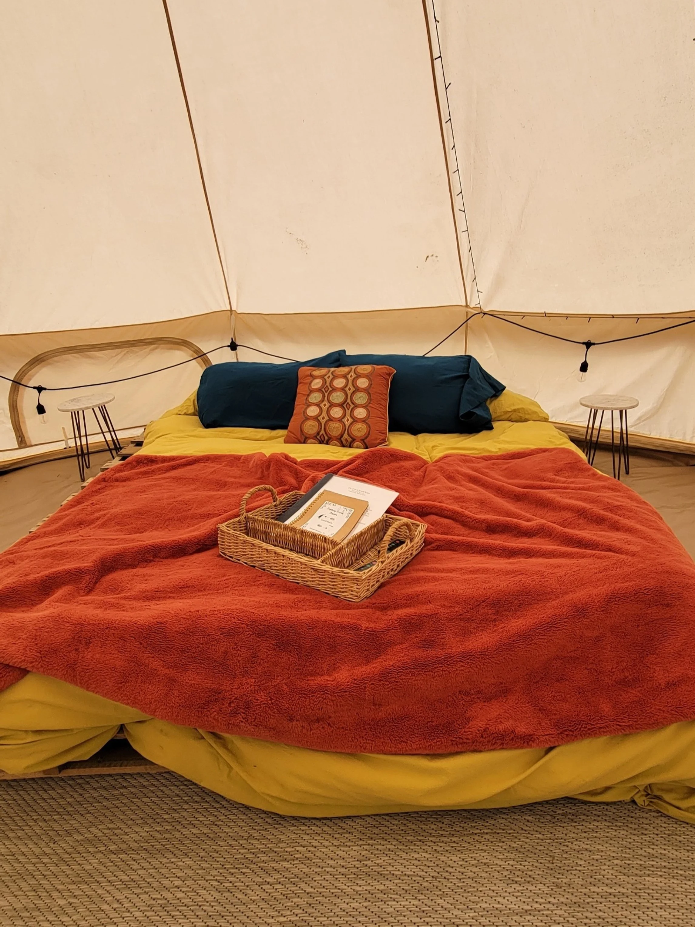 Camping in the Bankhead National Forest — Sipsey Creek Farm- Bankhead ...