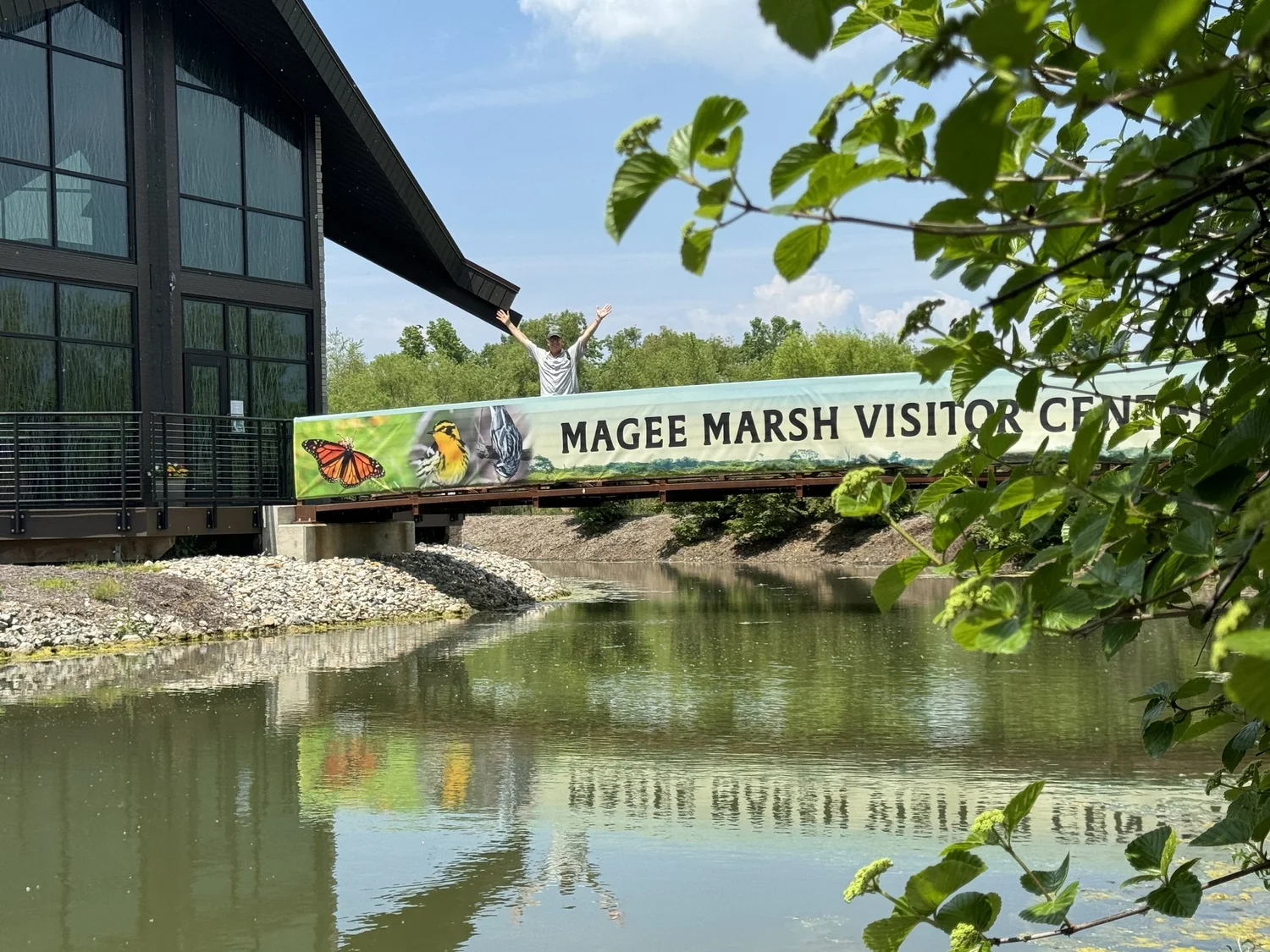 Guided Birding Tour At Magee Marsh In Ohio Rocky Mountain Birding