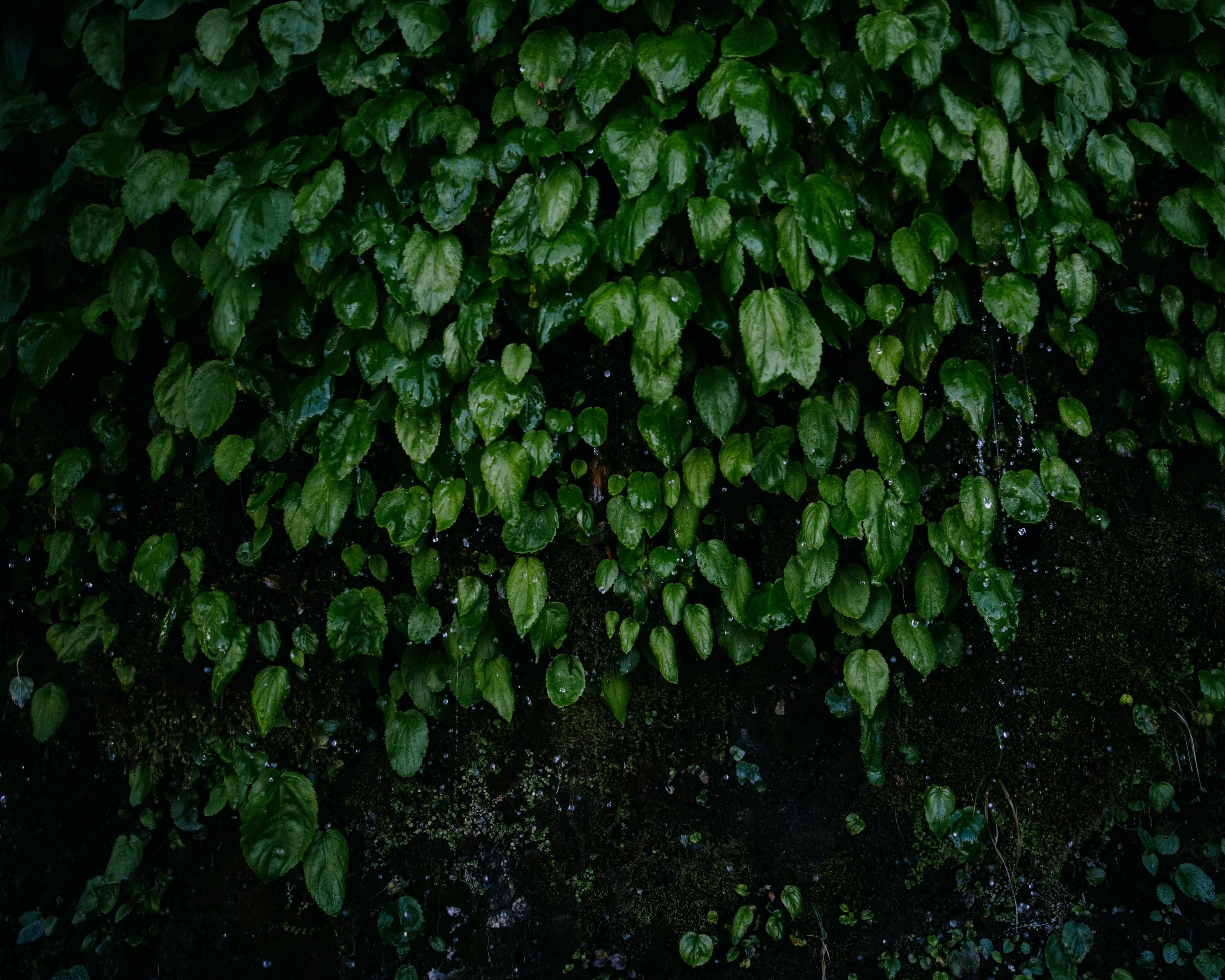 ADAM COMBS // STUDIO