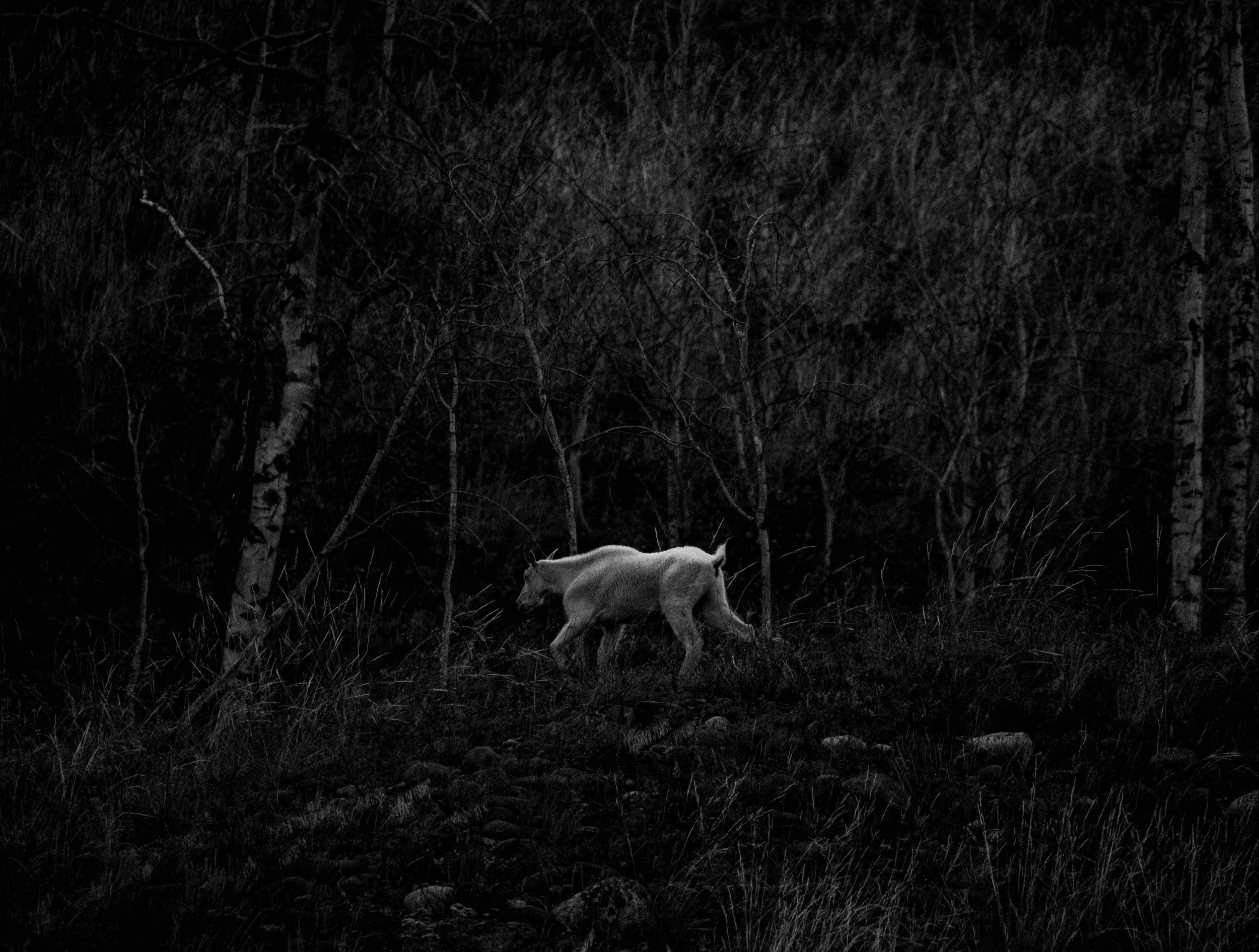 ADAM COMBS // STUDIO