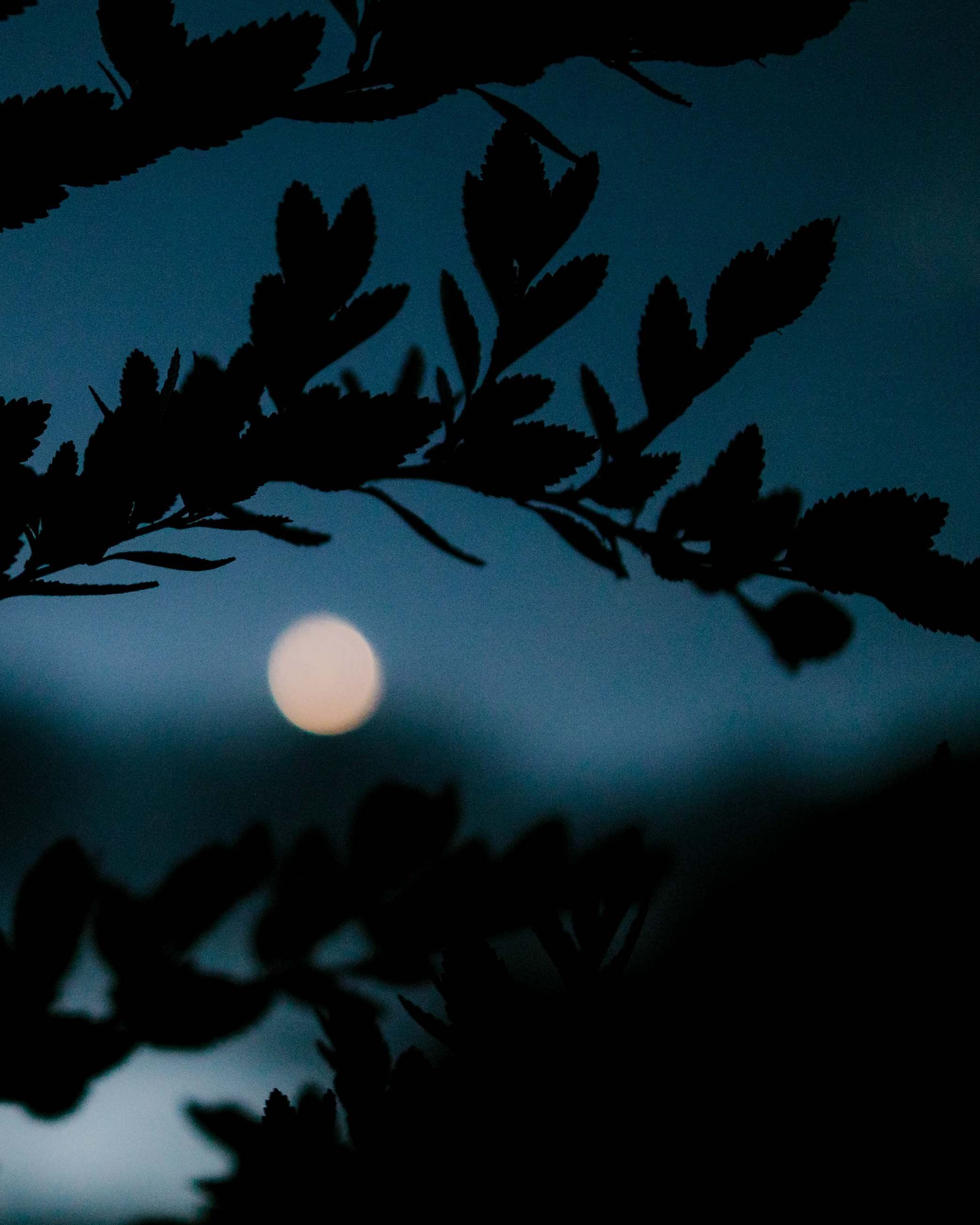 ADAM COMBS // STUDIO