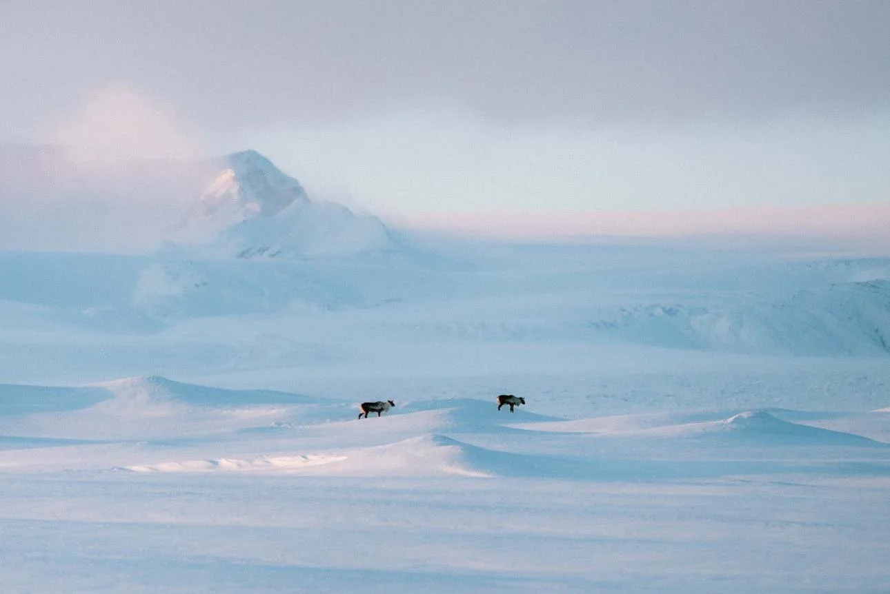 ADAM COMBS // STUDIO