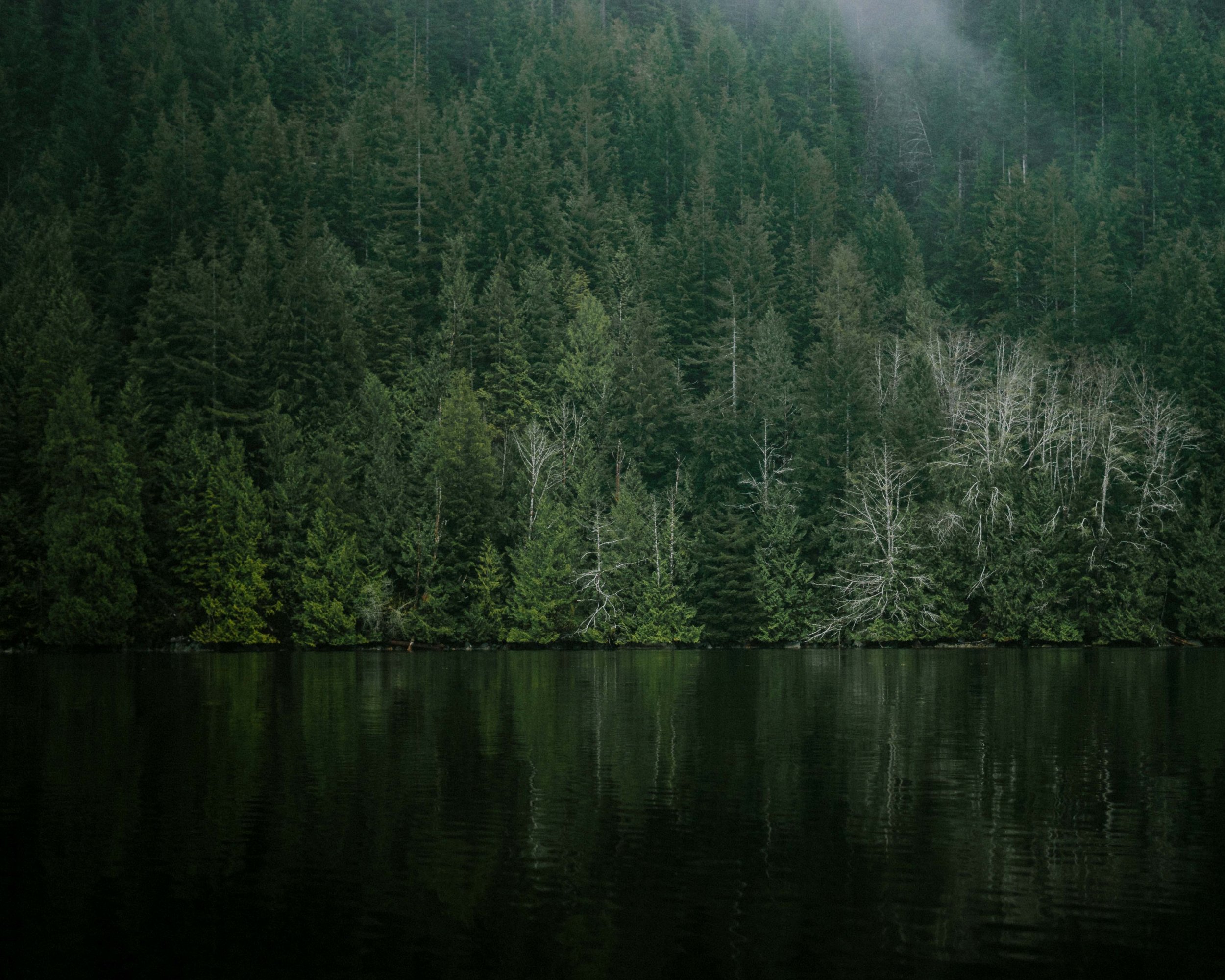 ADAM COMBS // STUDIO