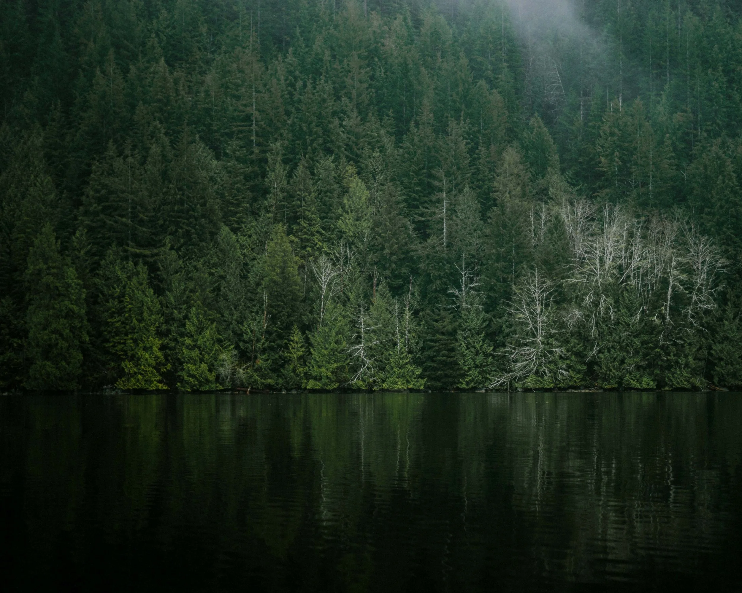 ADAM COMBS // STUDIO