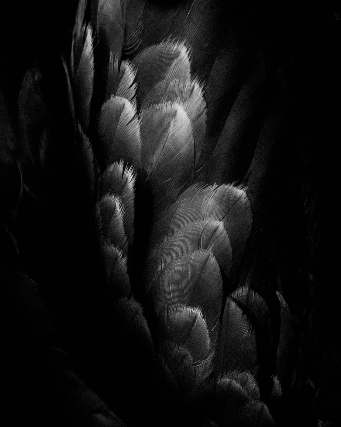 ADAM COMBS // STUDIO