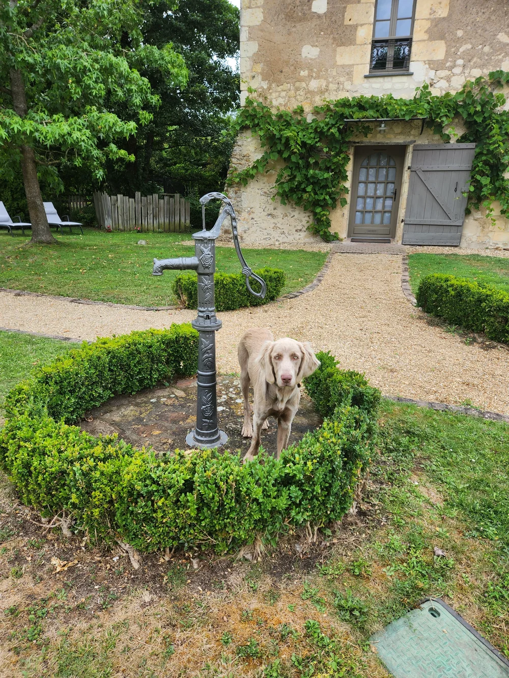 Le Grand Boust