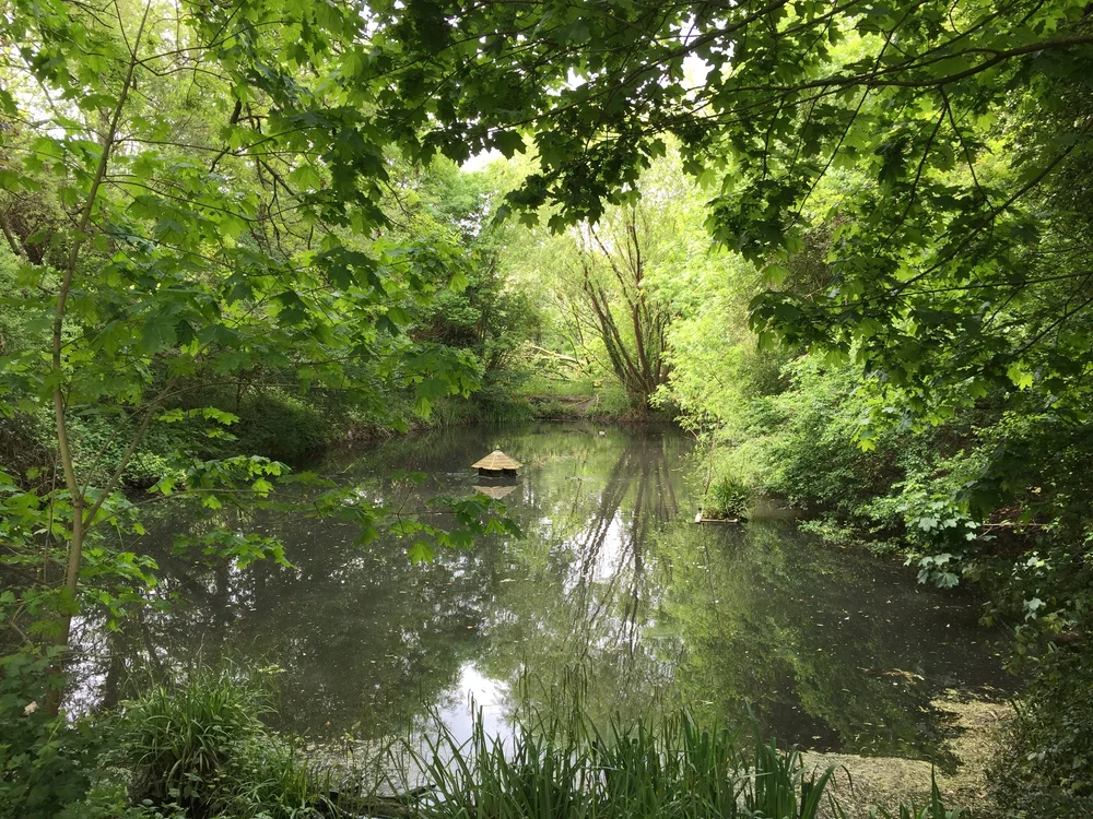 Friends of Plumstead Common
