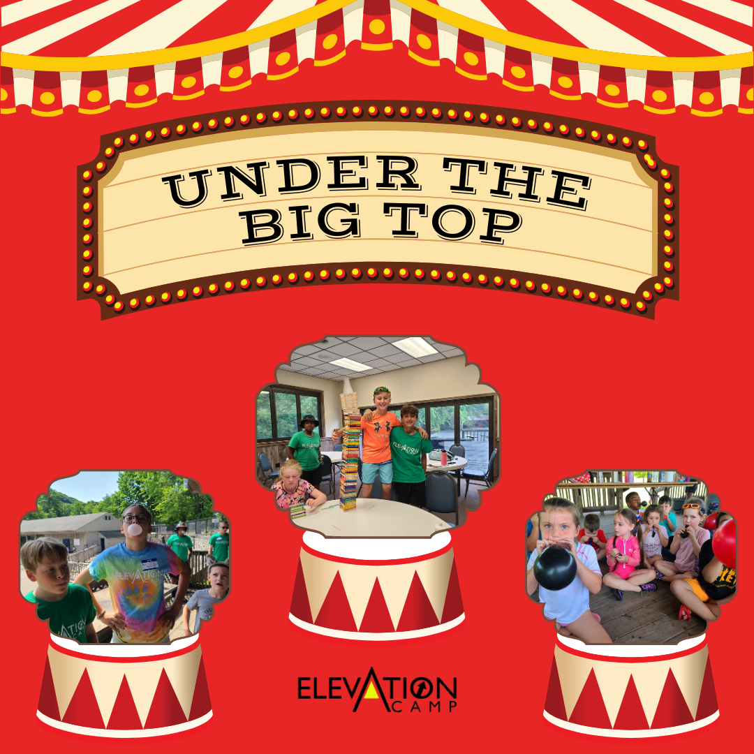 Schedule — Elevation Camp