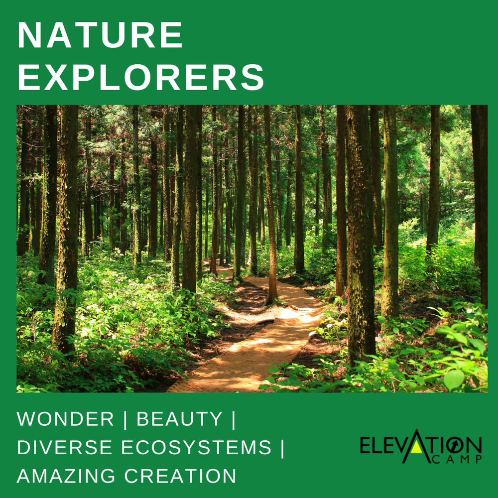 Schedule — Elevation Camp