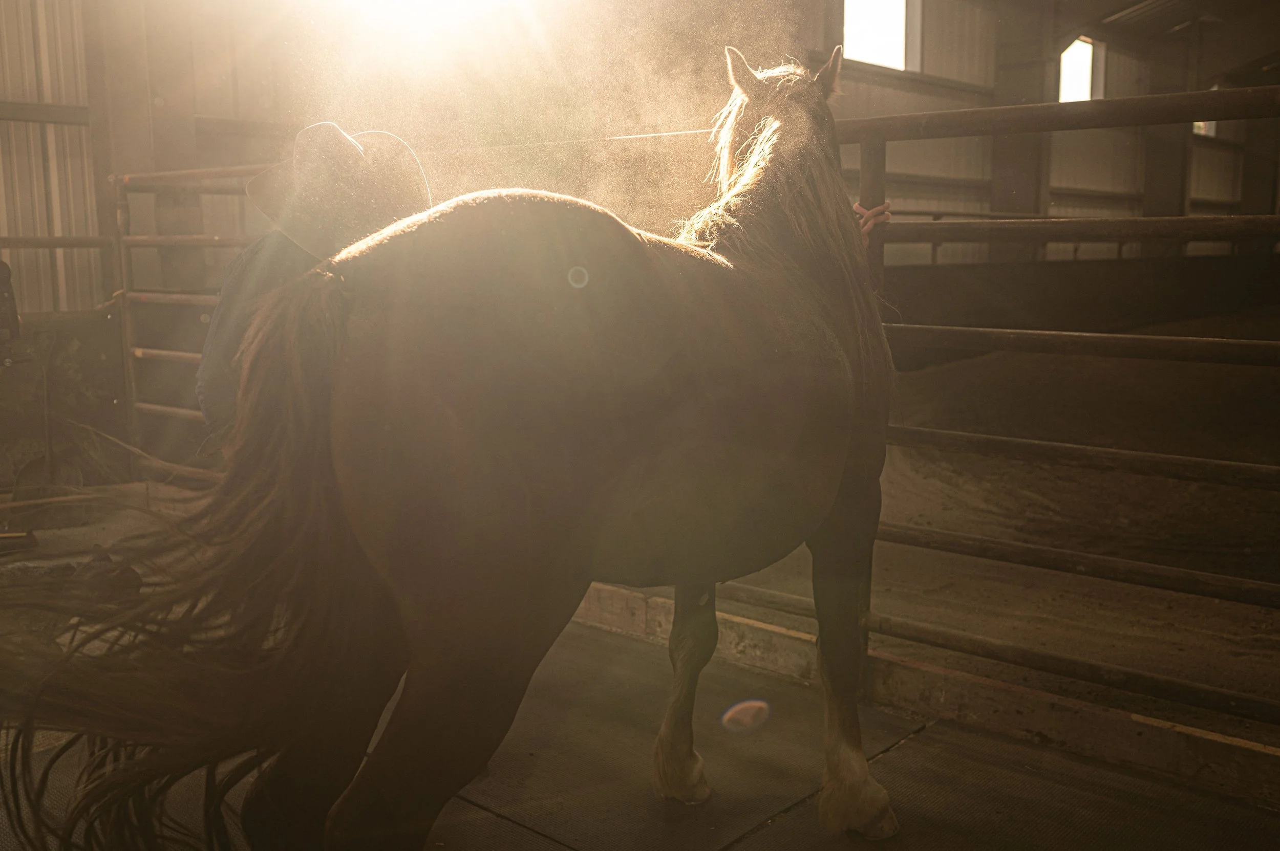 Welcome to the Double H Ranch — Heroes and Horses