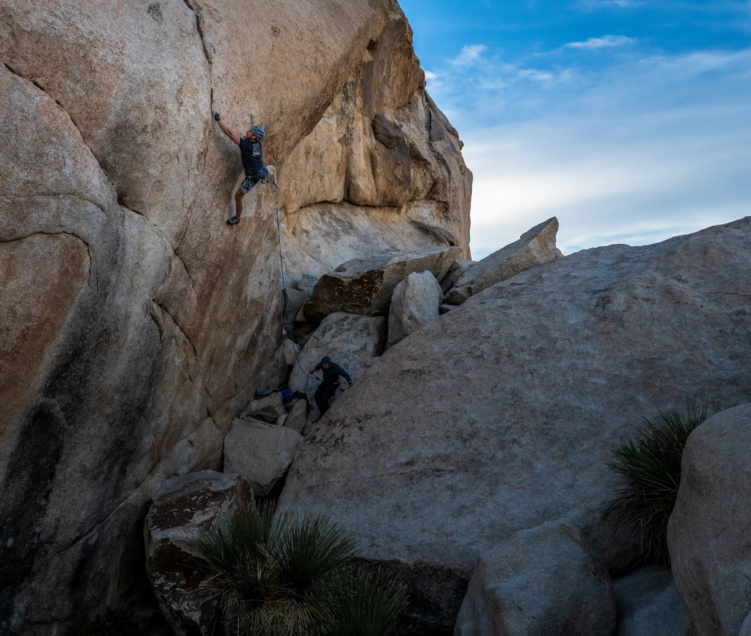 Joshua Tree — The School of Hard Rocks