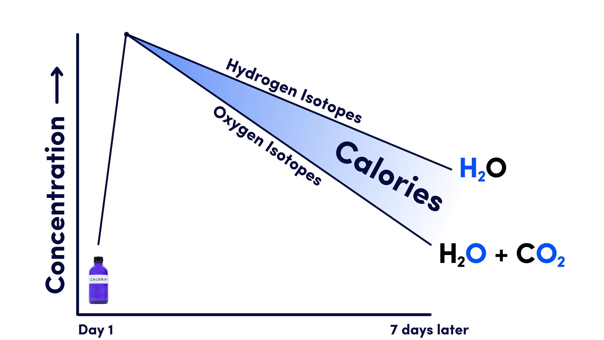 Science — Calorify