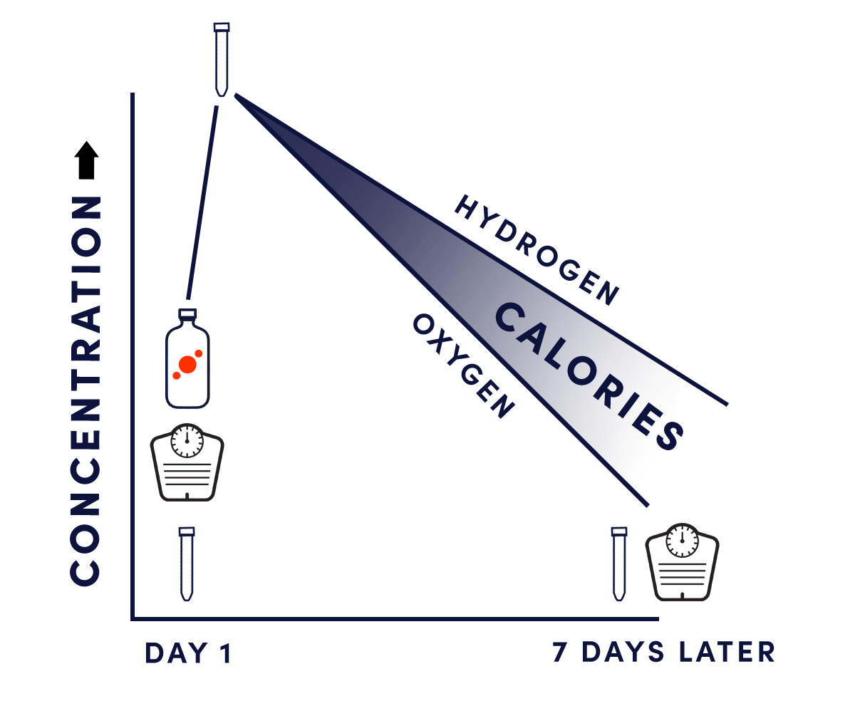 The Science — Calorify